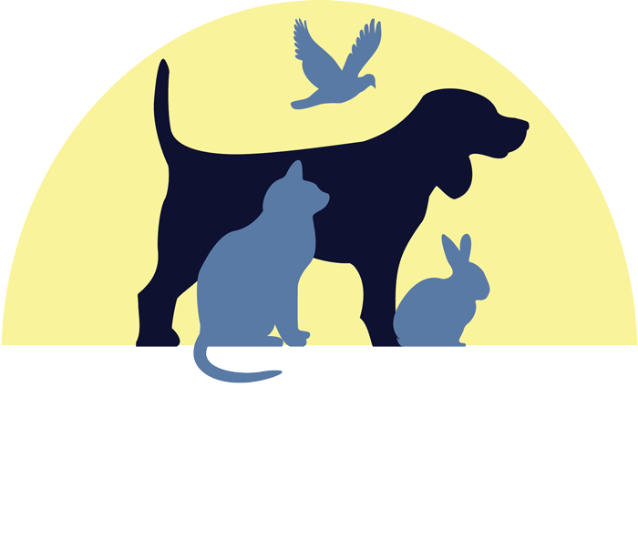 Splash 1 - Vet in New Berlin | Leatherstocking Veterinary Group