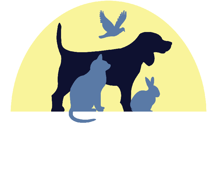 Splash 1 - Vet in New Berlin | Leatherstocking Veterinary Group