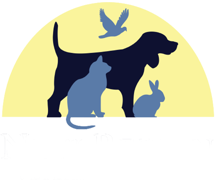Splash 1 - Vet in New Berlin | Leatherstocking Veterinary Group