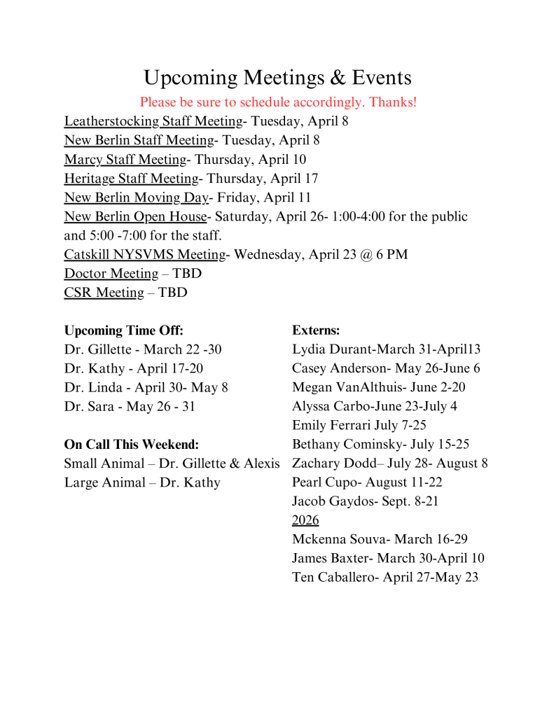 Kitty Litter 4.4.25 - Leatherstocking Veterinary Group